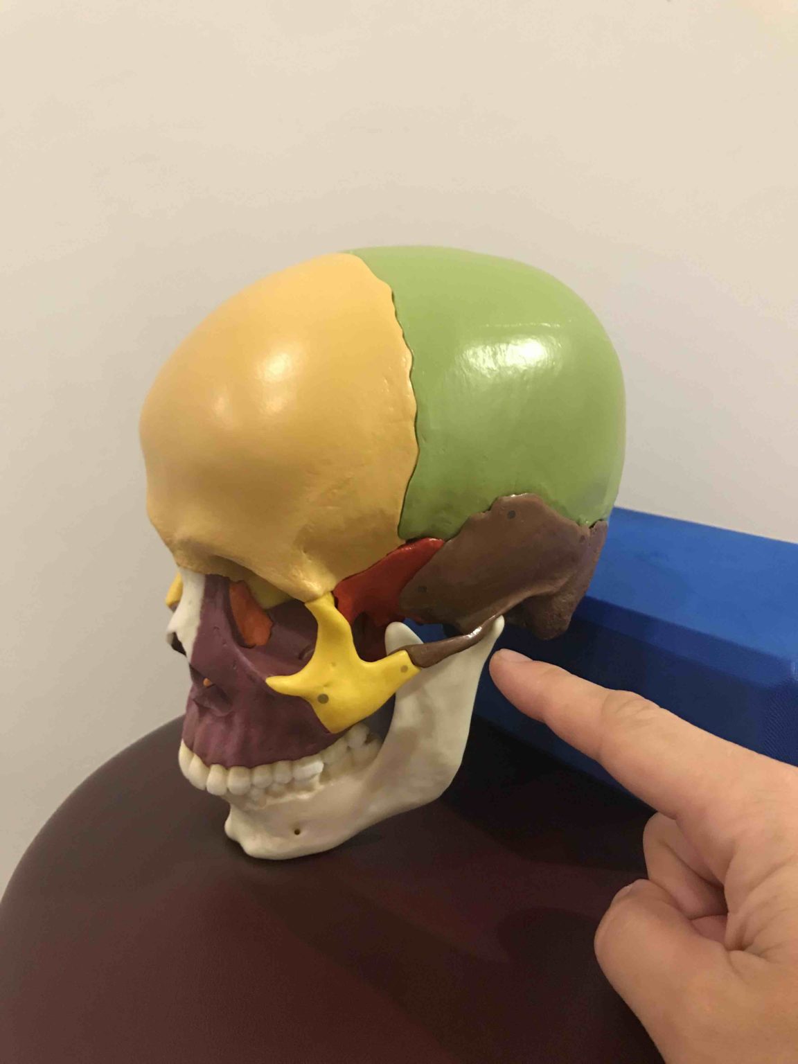 Mariano Rocabado Trained TMJ Therapist - FuncPhysio Physical Therapy