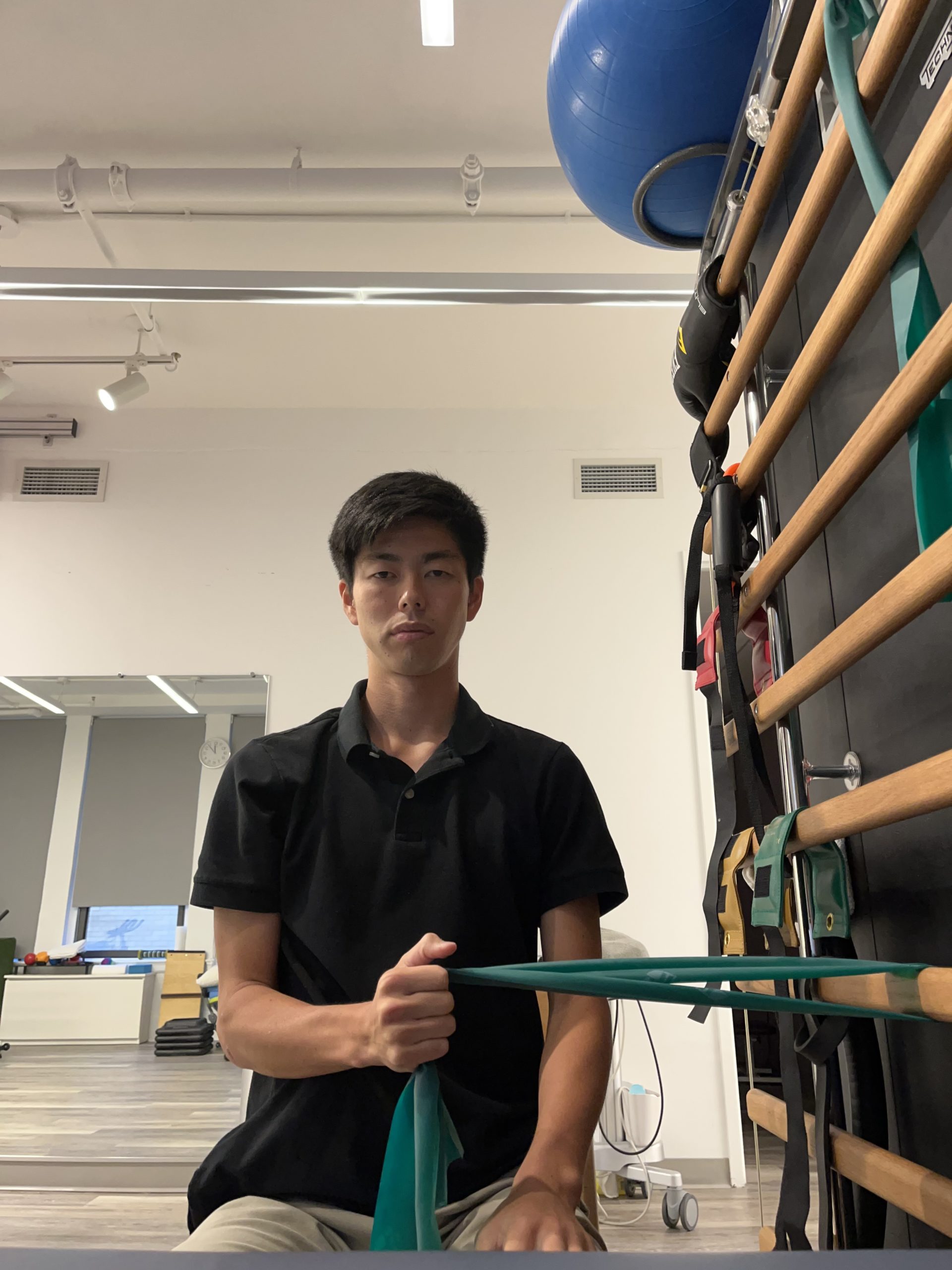 Combined physiotherapy and laser therapy: rotator cuff disorders of the ...