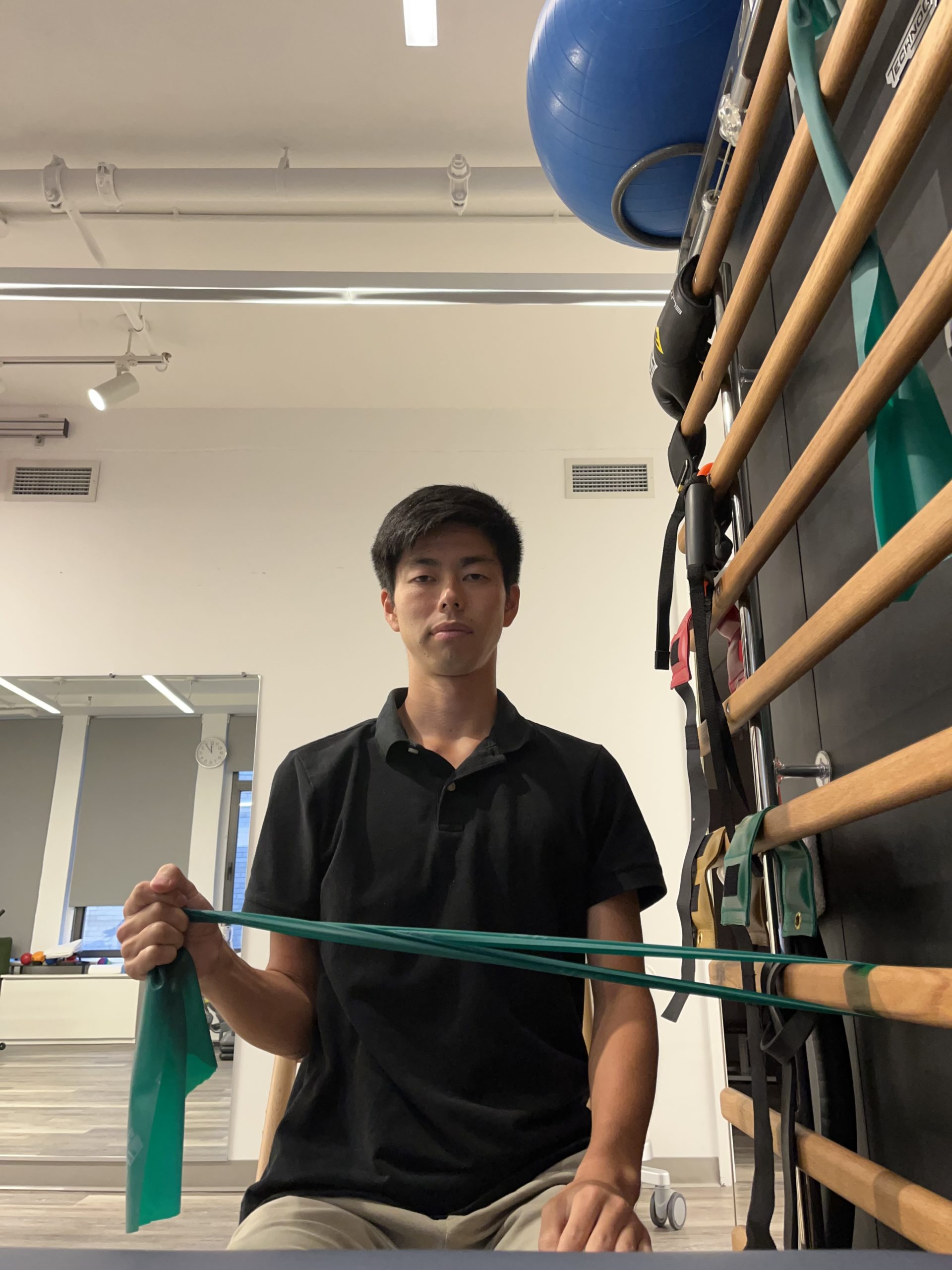 Combined physiotherapy and laser therapy: rotator cuff disorders of the ...