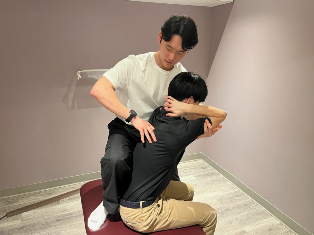 Functional Manual Therapy: Relieve Pain and Restore Mobility ...